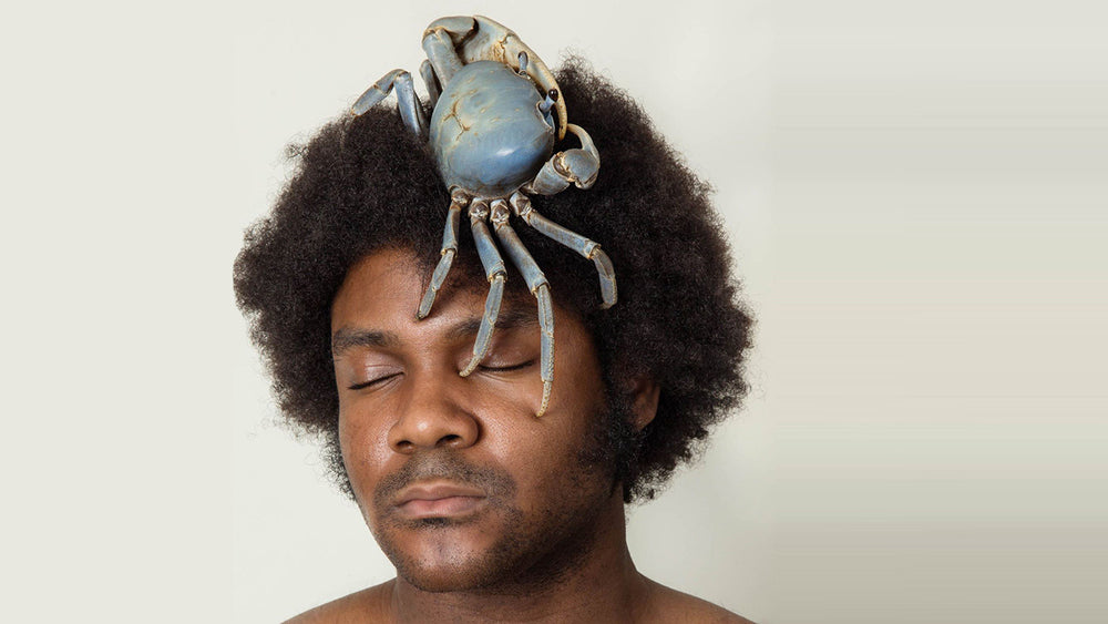 Early Beginnings of An Inner-City Bug Scientist – Dress A Med