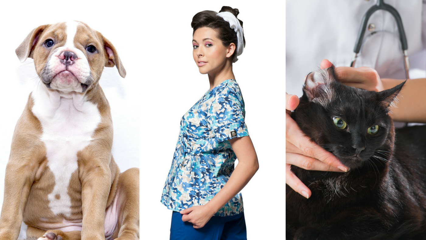 What's the difference between a Vet Tech & a Vet Assistant? – Dress A Med